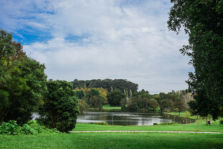 Jardins e Parques do Porto — O Guia de Viagem