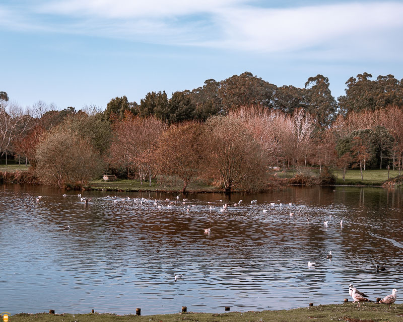 Jardins e Parques do Porto — O Guia de Viagem